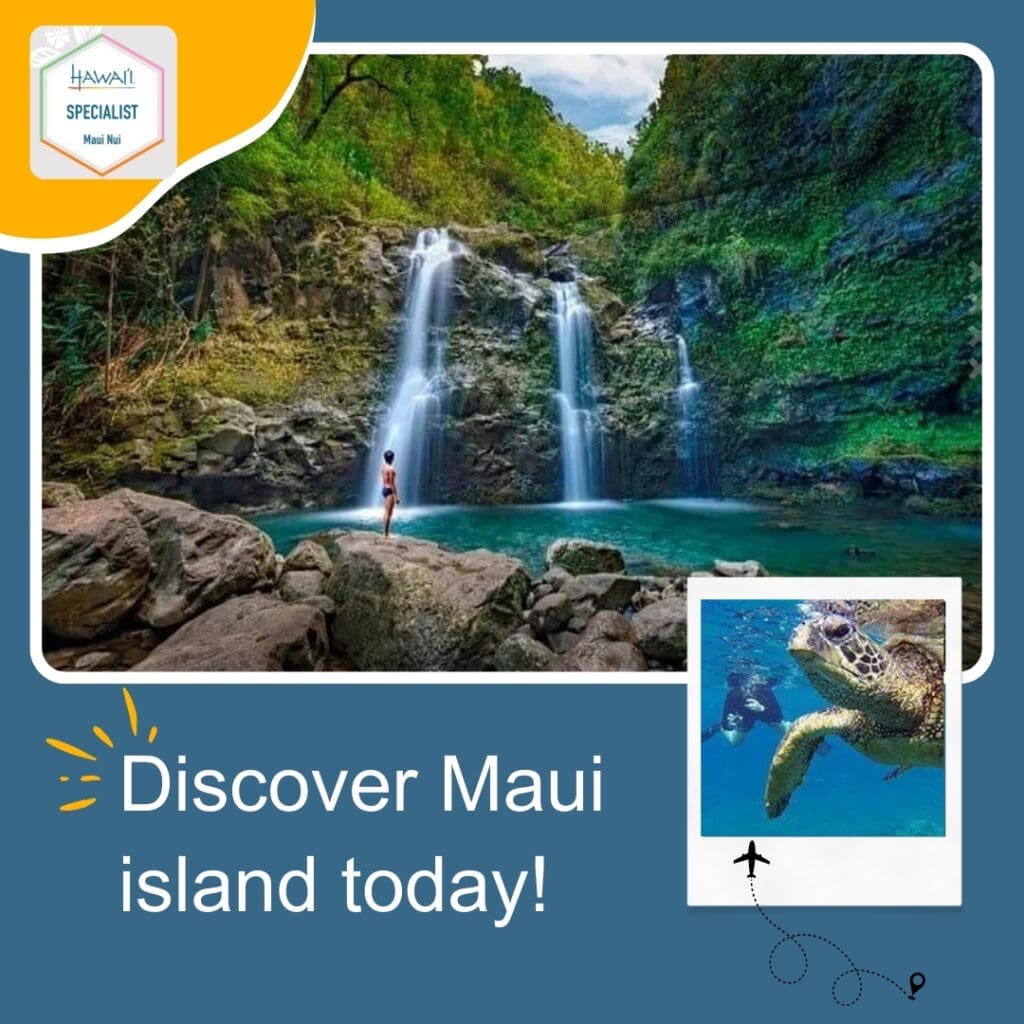 Travel Advisor Hawaii and Beyond - Travel to Hawaii and Beyond