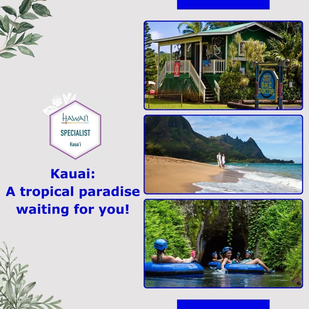 Travel Advisor Hawaii and Beyond - Travel to Hawaii and Beyond